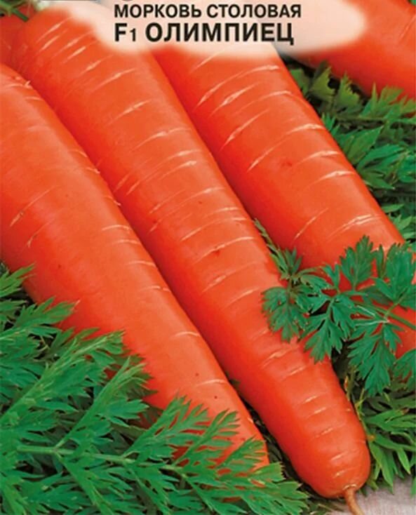 Коллекционные семена моркови Олимпиец F1