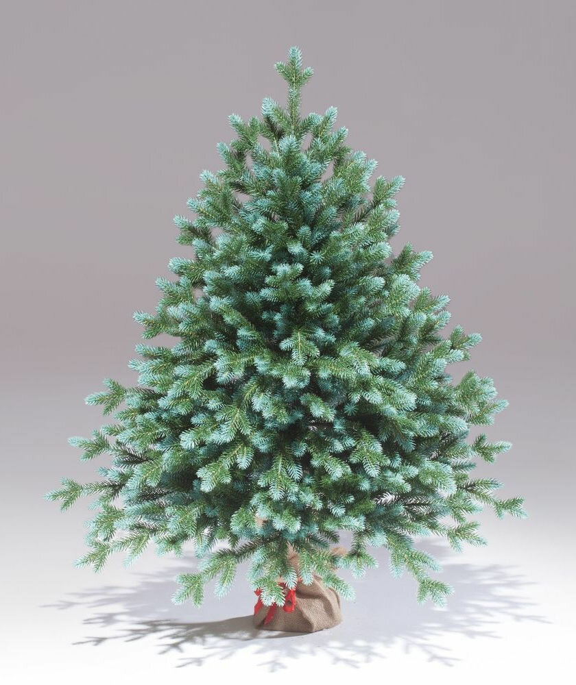 Настольная елка в мешочке Айрин 90 см зелено-голубая, литая 100%, ElkaDe АЙР-90
