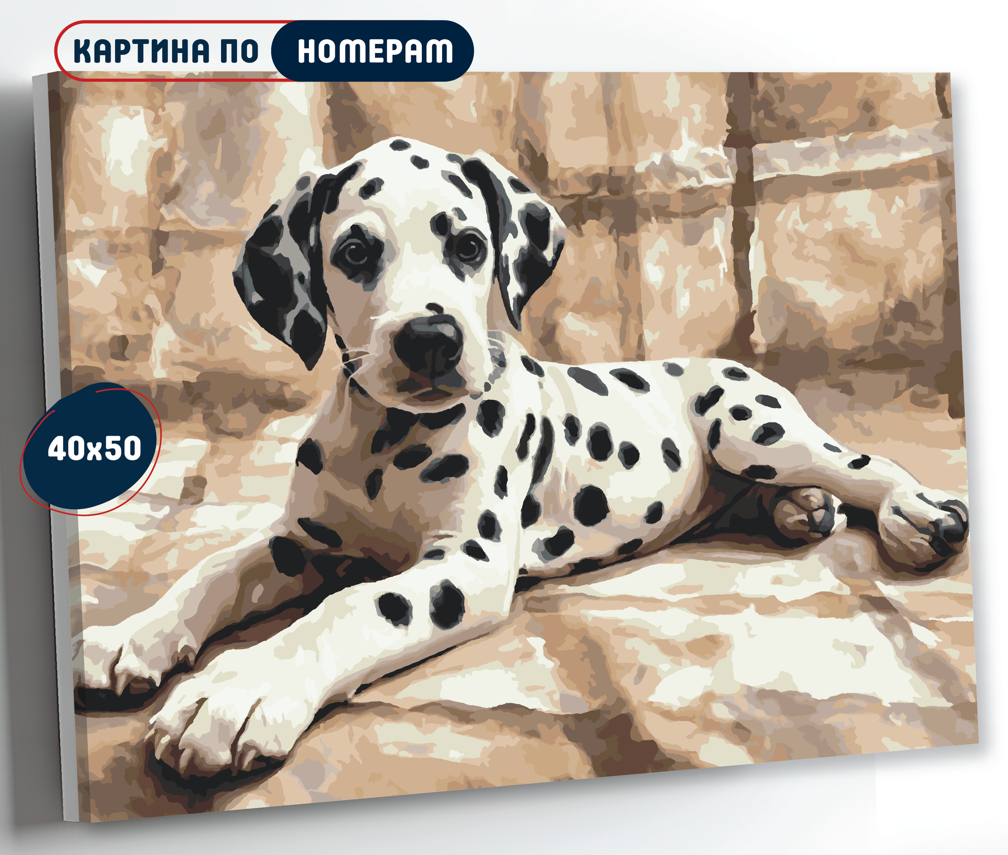 Картина по номерам "Далматинец 1", Холст на подрамнике 40х50, набор для рисования