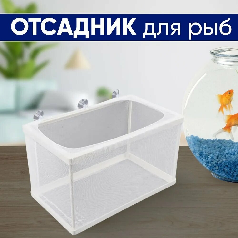 Отсадник для рыб, белый, 26 x 15 x 15 см, большой
