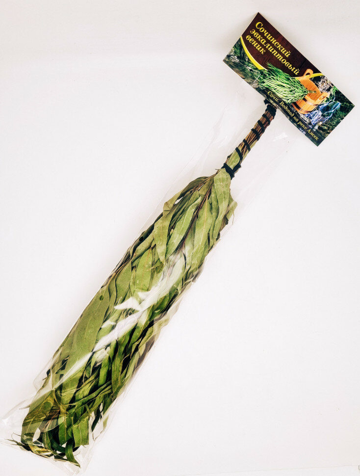 Веник для бани эвкалиптовый