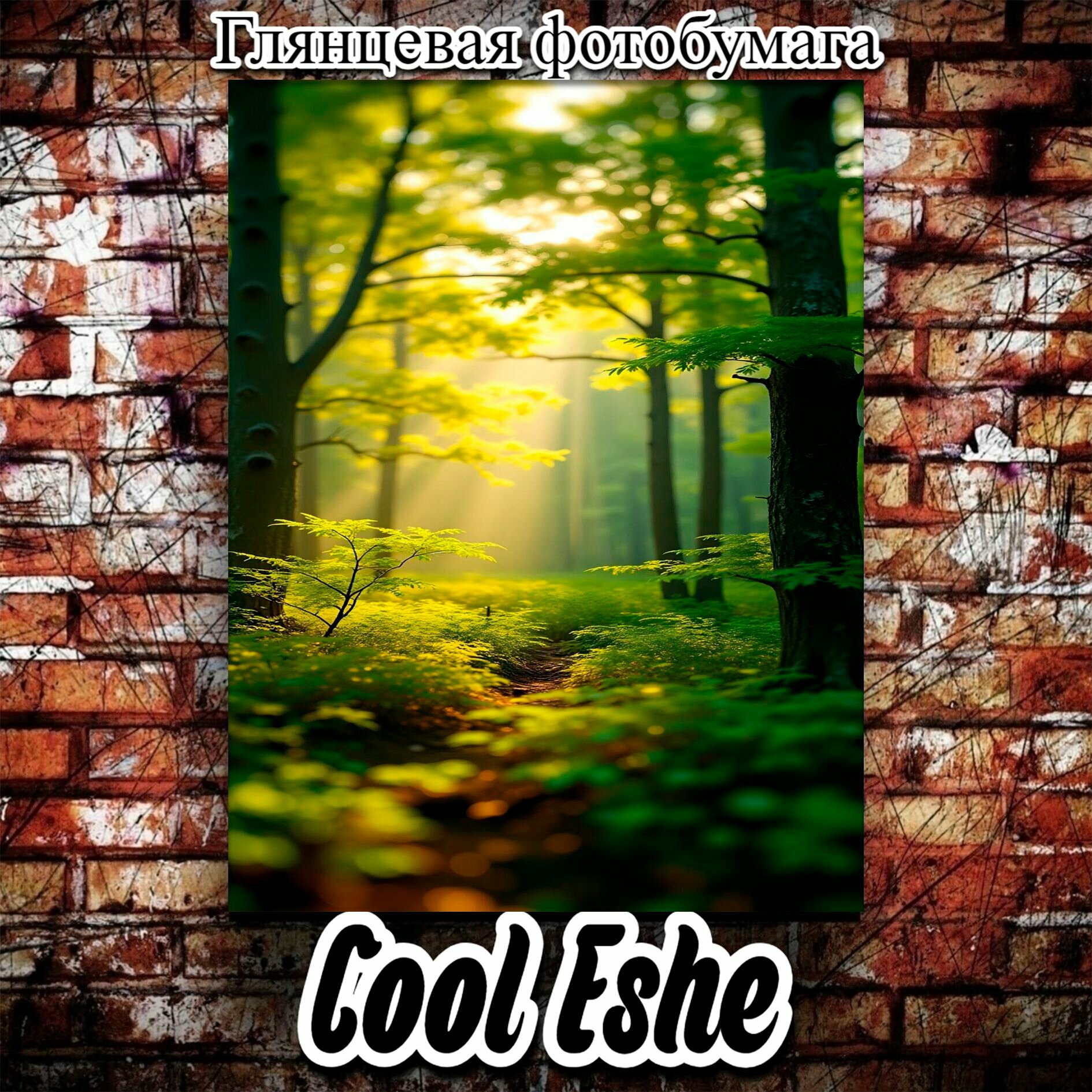 Постер "Зеленый лес, рассвет, красота природы" из коллекции "Мир вокруг нас" А4