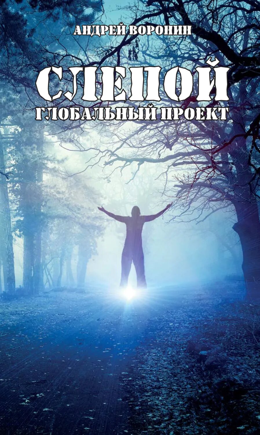 Слепой. Глобальный проект [Цифровая книга]