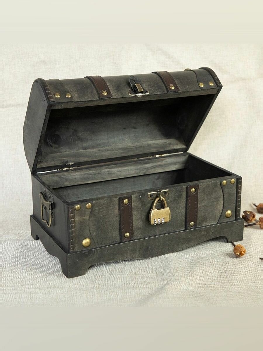 Многофункциональный ящик для хранения, черный, с замком Размеры: 31 см (длина) x 19 см (ширина) x 21 см (высота)