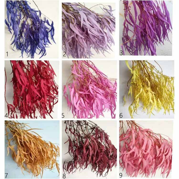 Вечный цветок Xiaomi, фруктовый лист, лист ивы, лист эвкалипта, медная монета, лист эвкалипта, домашний декор, производитель из Юньнани, оптовая продажа