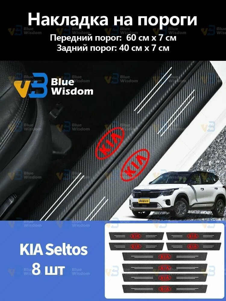 BlueWisdom Накладка на автомобиль на пороги, 8 шт стандартный вариант модели