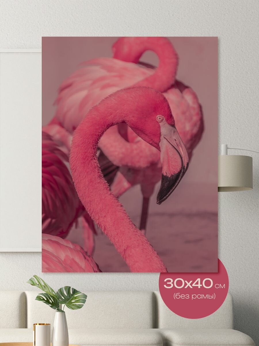 Постер на стену "Фламинго" 30х40 см