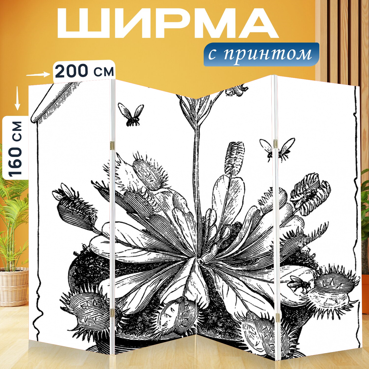Ширма "Клипарт Венерина мухоловка Венерина мухоловка плотоядное растение клипарт винтажное искусство старый." перегородка для зонирования комнаты с принтом 200x160 см. на холсте