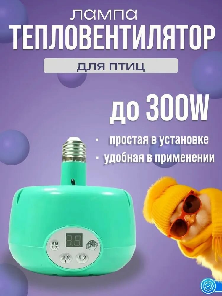 Брудер