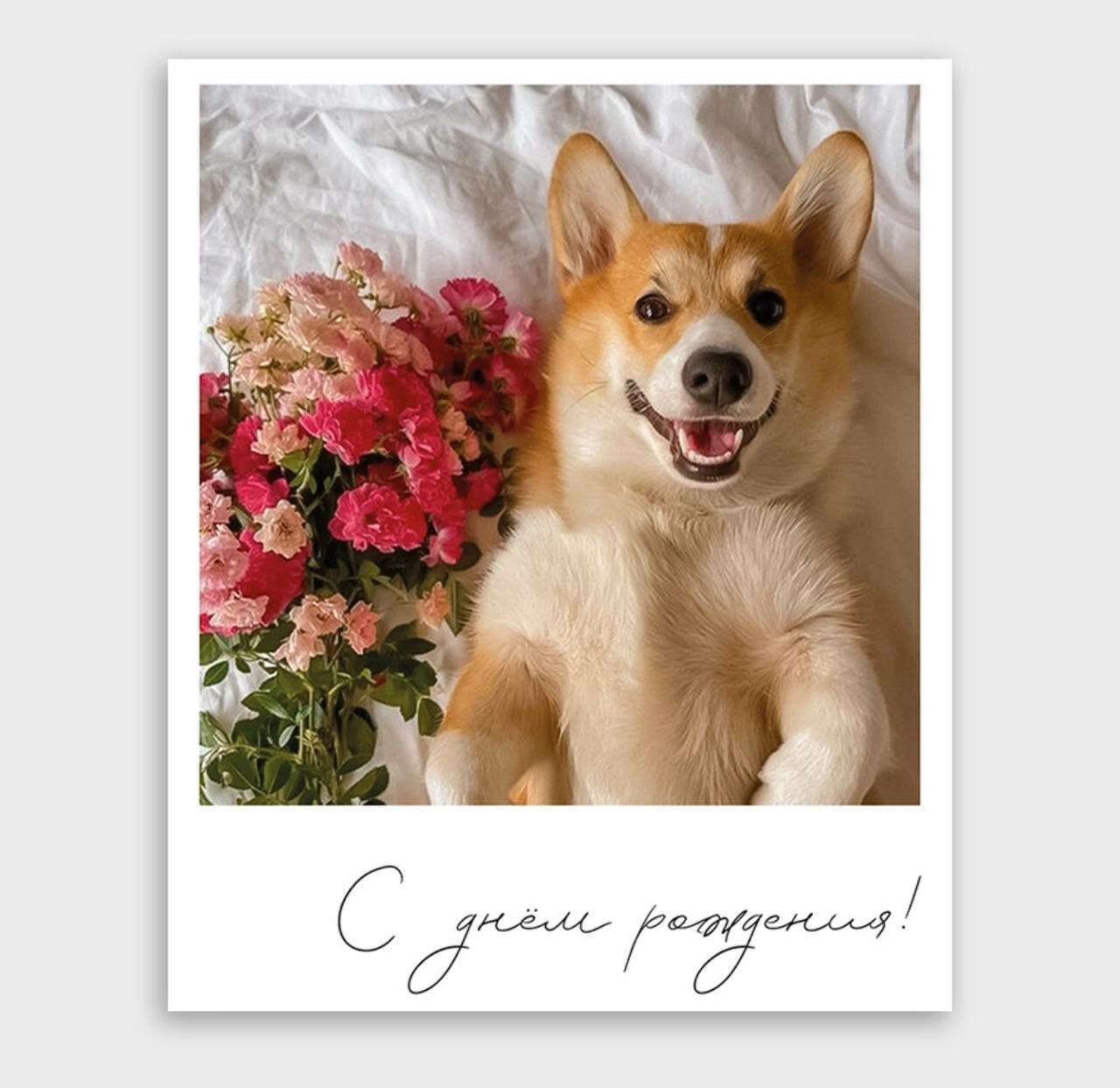 Открытка фотокарточка с корги "С днем рождения!" 9х11 см Ver flowers