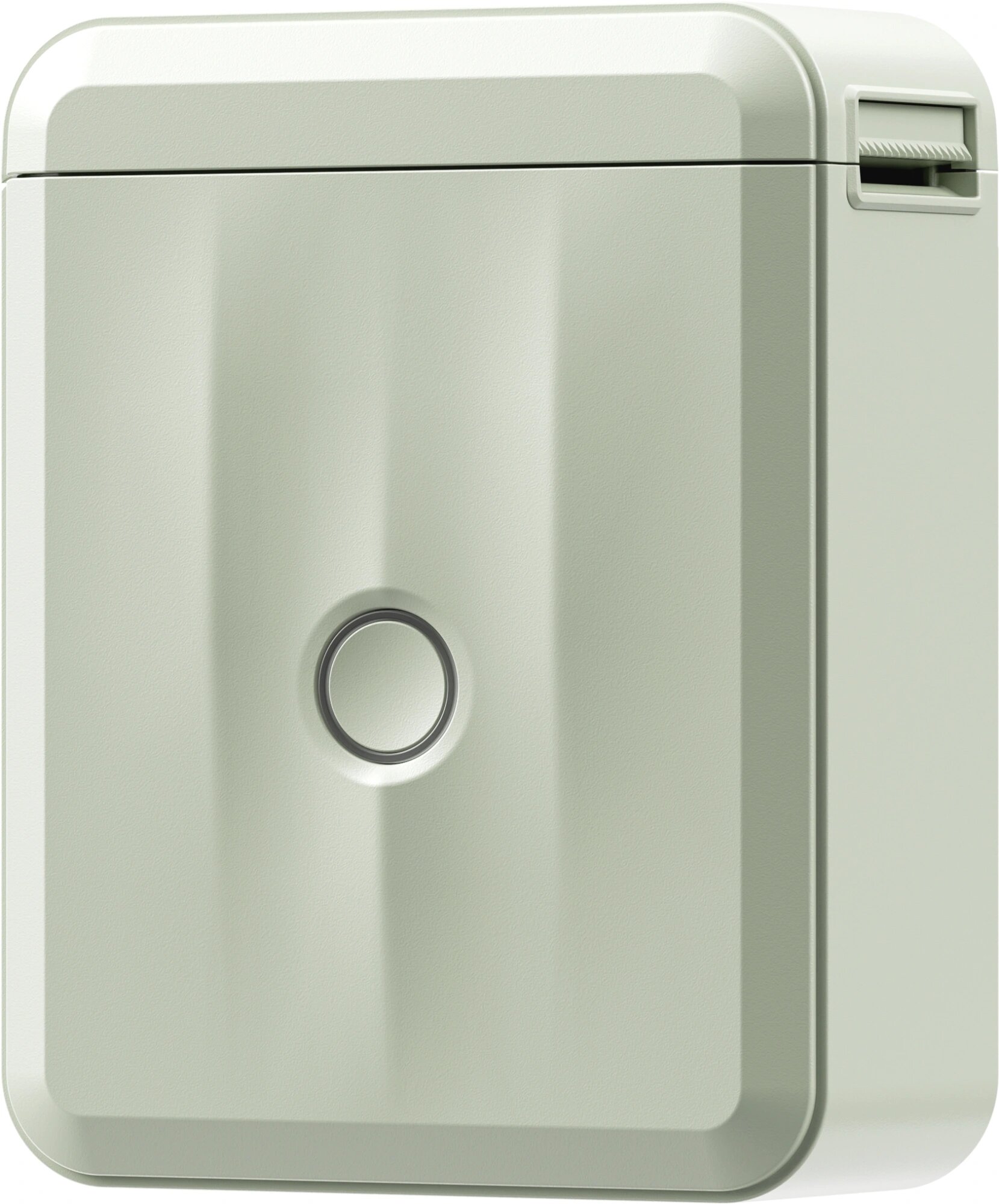 Термопринтер Niimbot D110 M (1746804) 203dpi 40мм/с/USB/BT для печ. этик. зеленый