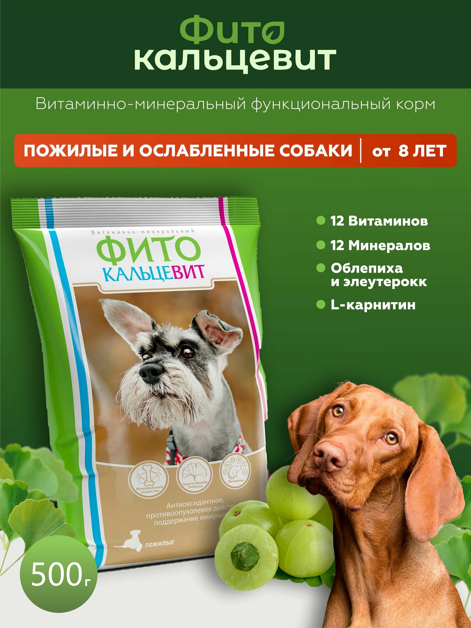 Витаминно-минеральный корм Фитокальцевит, для пожилых собак 6+, 500 гр