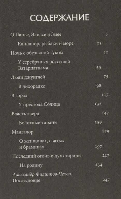 В Индии — фото 1