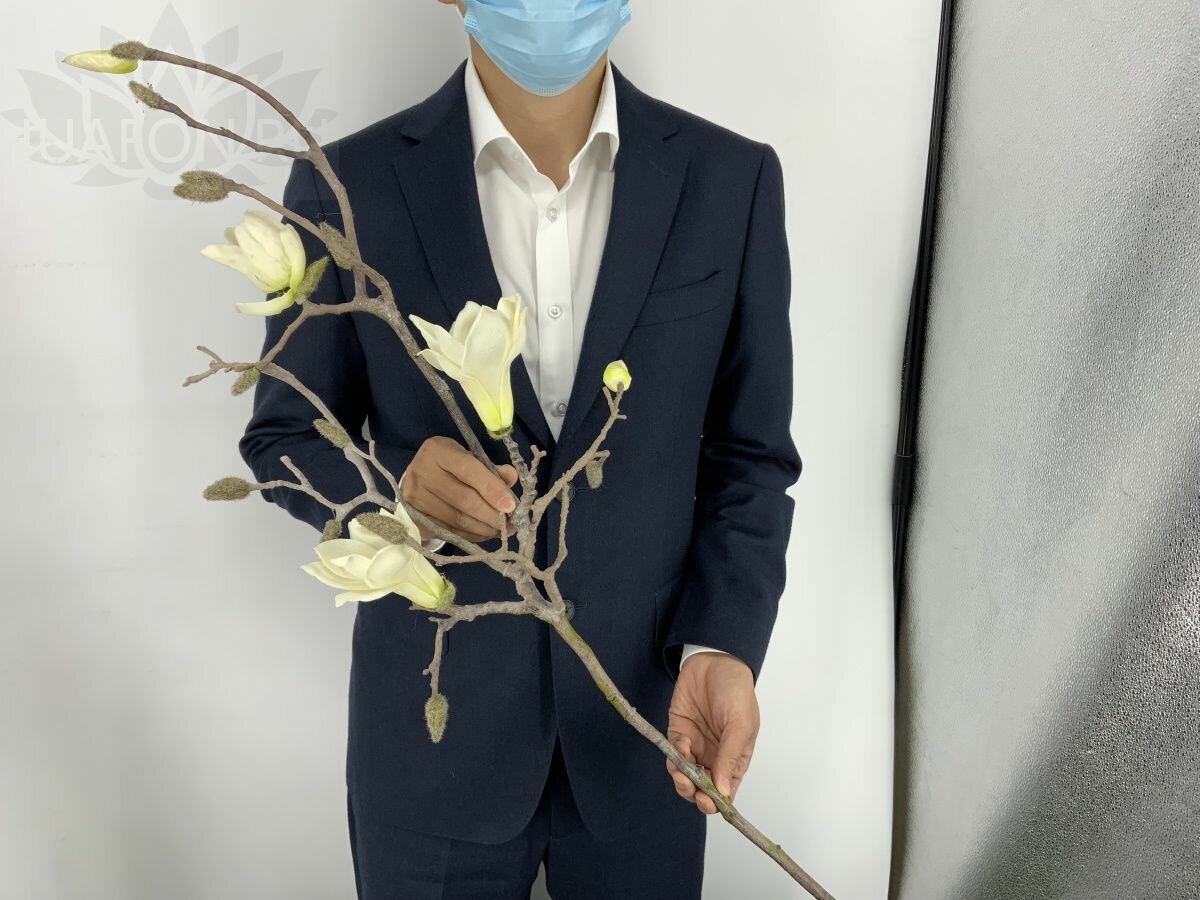 Коряга для декораторов фитостен флористическая Ветка магнолии с цветами 108см