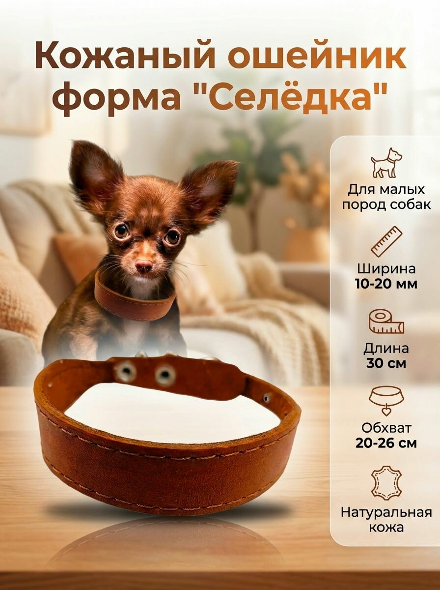 Ошейник из натуральной кожи для малых пород собак. Селёдка