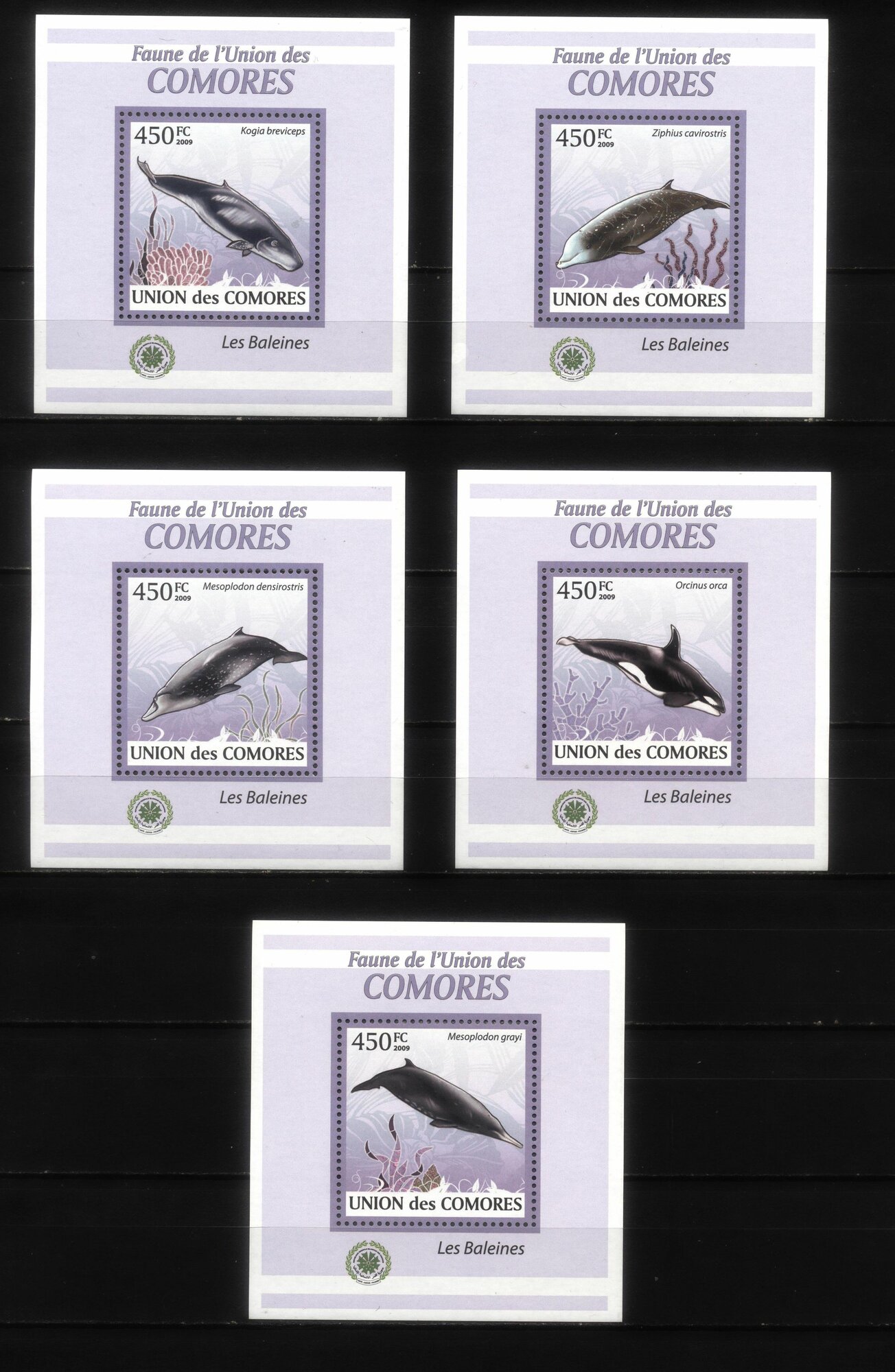 2009 г. Коморские острова. Фауна. "Дельфины." Серия из 5 чистых блоков.