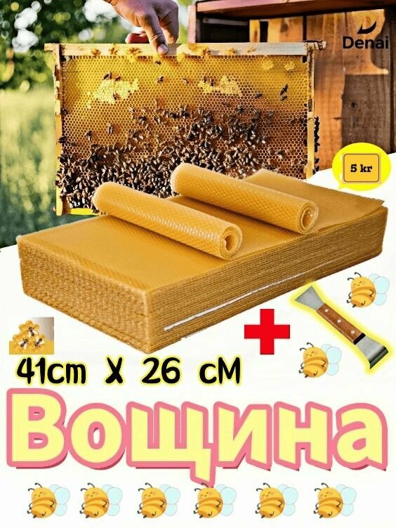 Вощина Для Пчеловодства Дадан, Denai, 410*260mm，Сделано из пчелиного воска，56 на