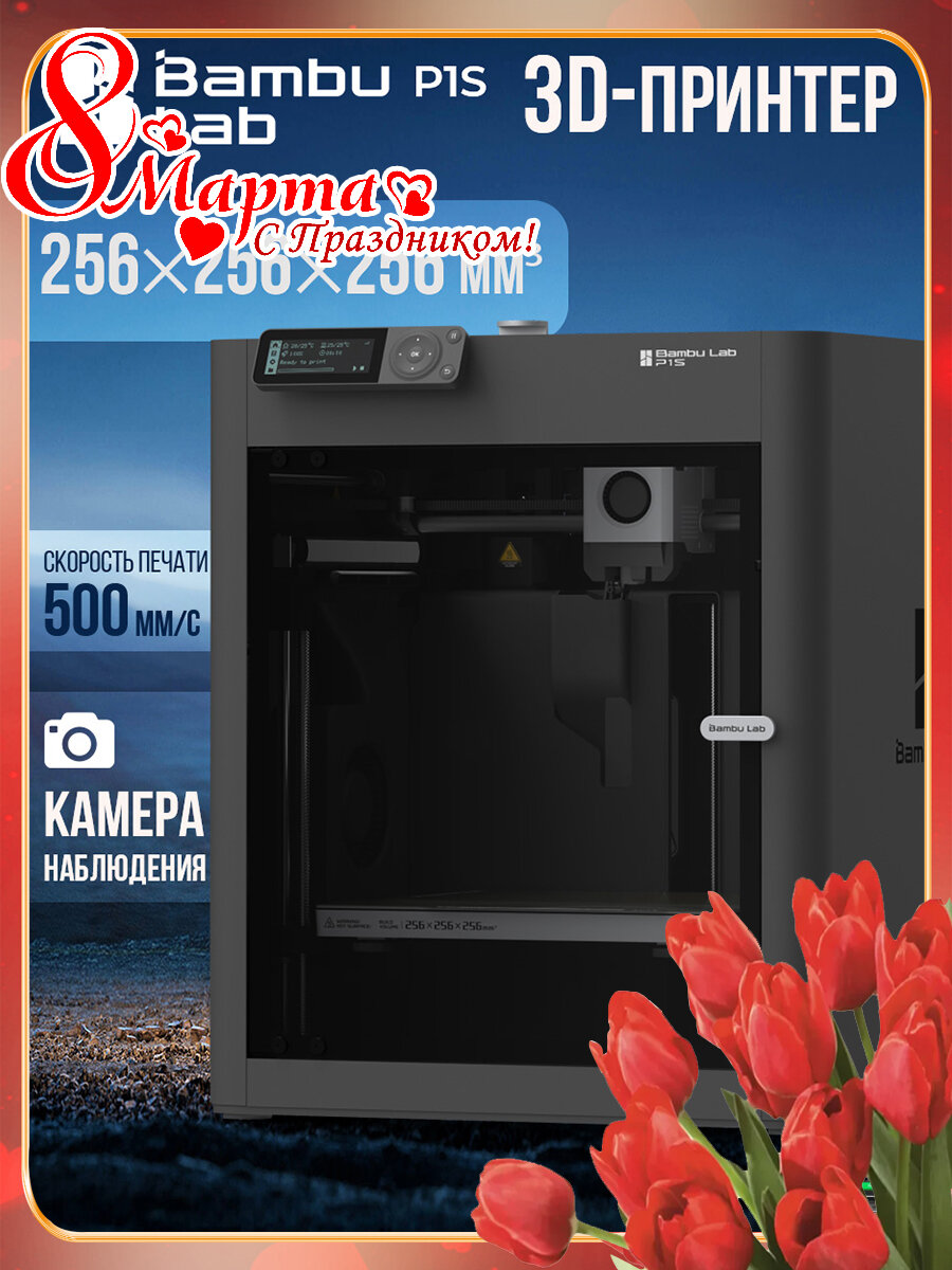 3D принтер Bambu lab P1S европейская версия，Камера наблюдения, EU