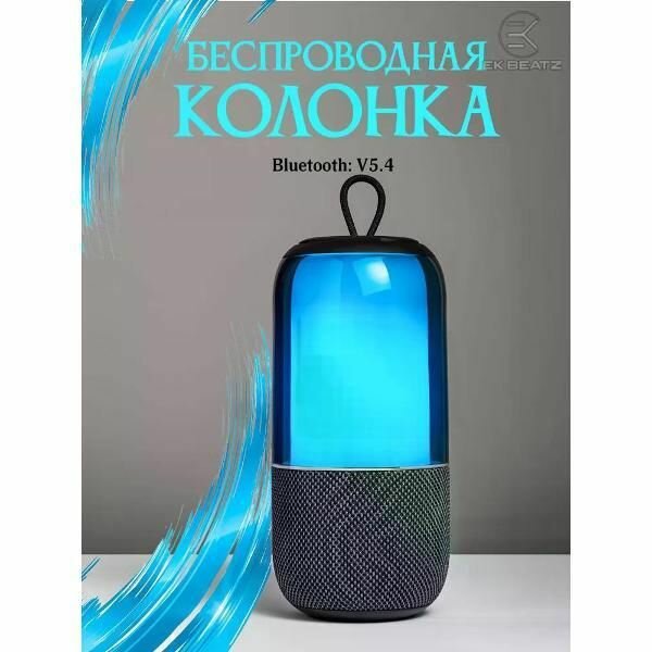 Портативная беспроводная колонка EK BEATZ BT-2675