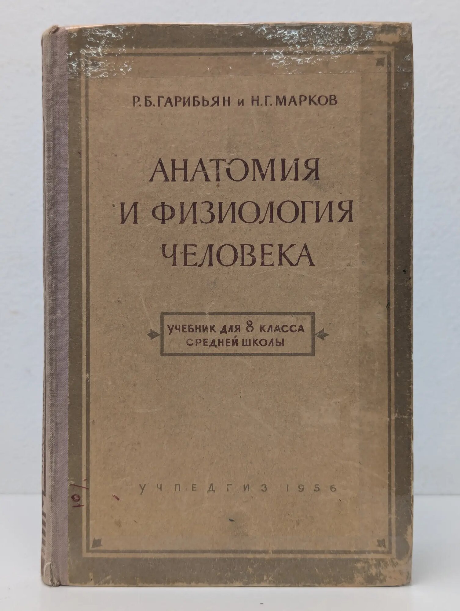 Анатомия и физиология человека Марков Николай Георгиевич, Гарибьян Рубен Бахшиевич 1956