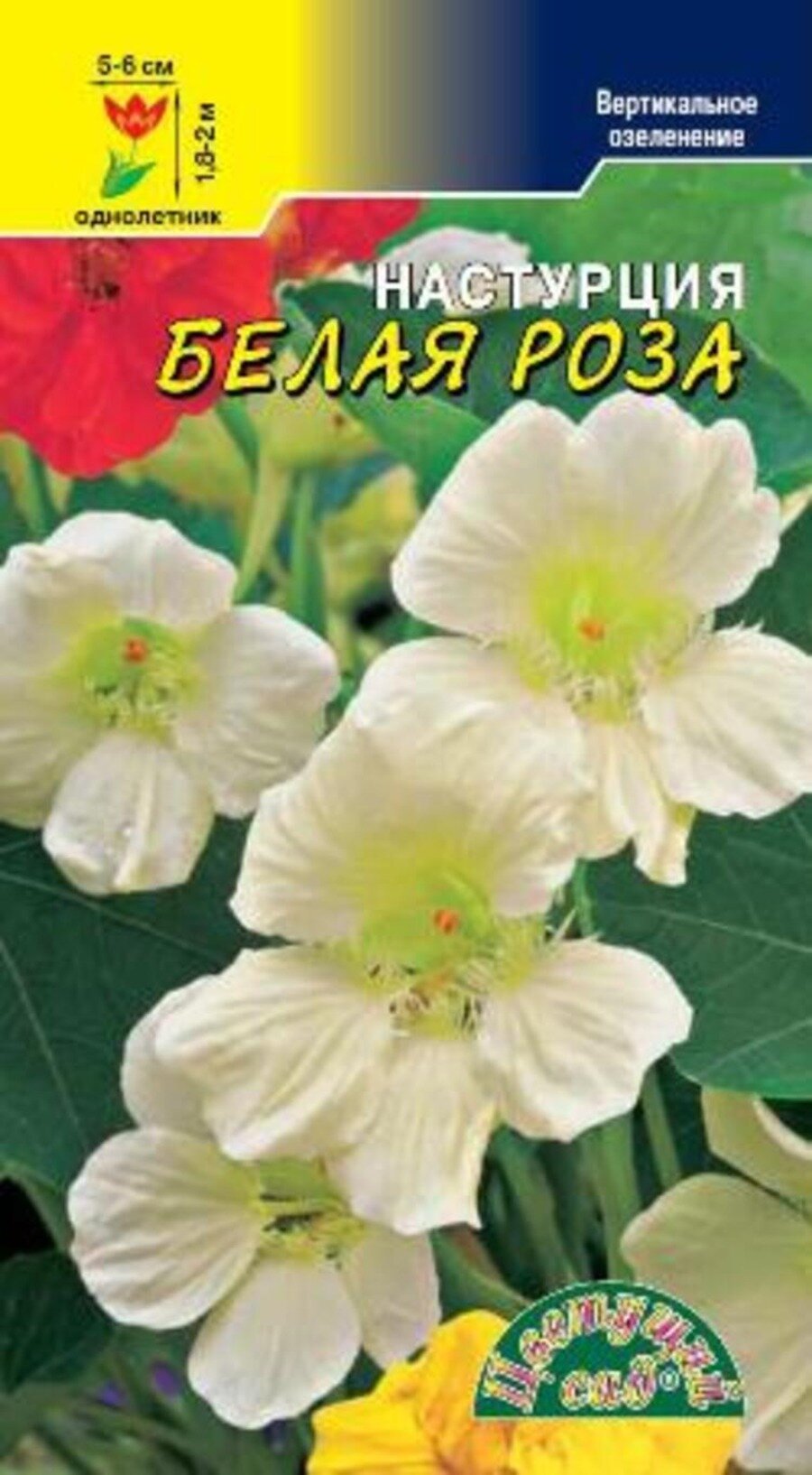 Семена Настурция Вьющаяся Белая Роза (1,5 г), лиана, Цветущий сад
