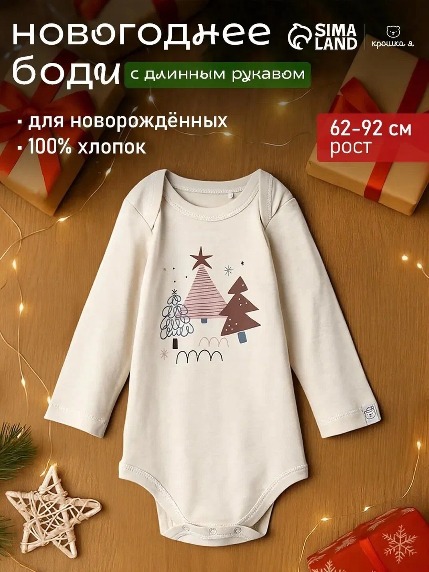 Боди