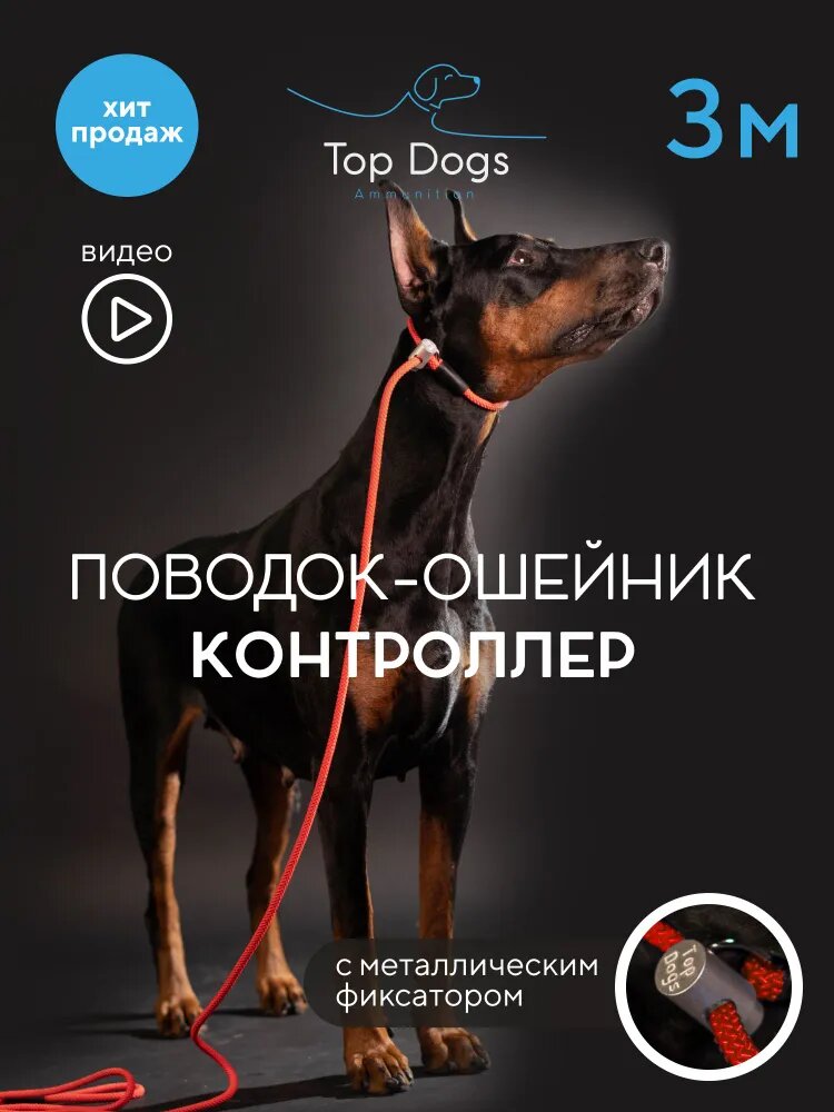Поводок-ошейник "Контроллер" с металлическим фиксатором