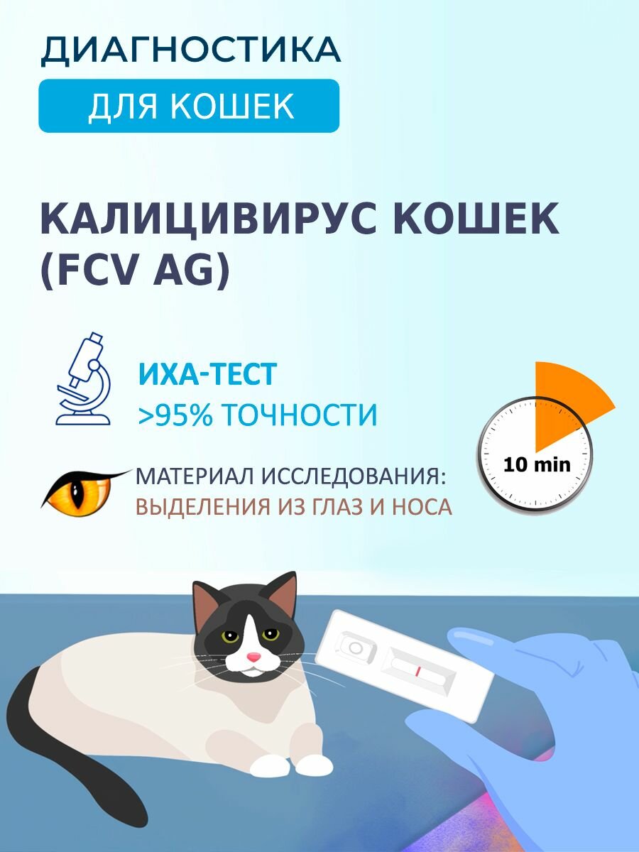 Экспресс-тест на калицивирус кошек (FCV Ag), QBQVET,1шт