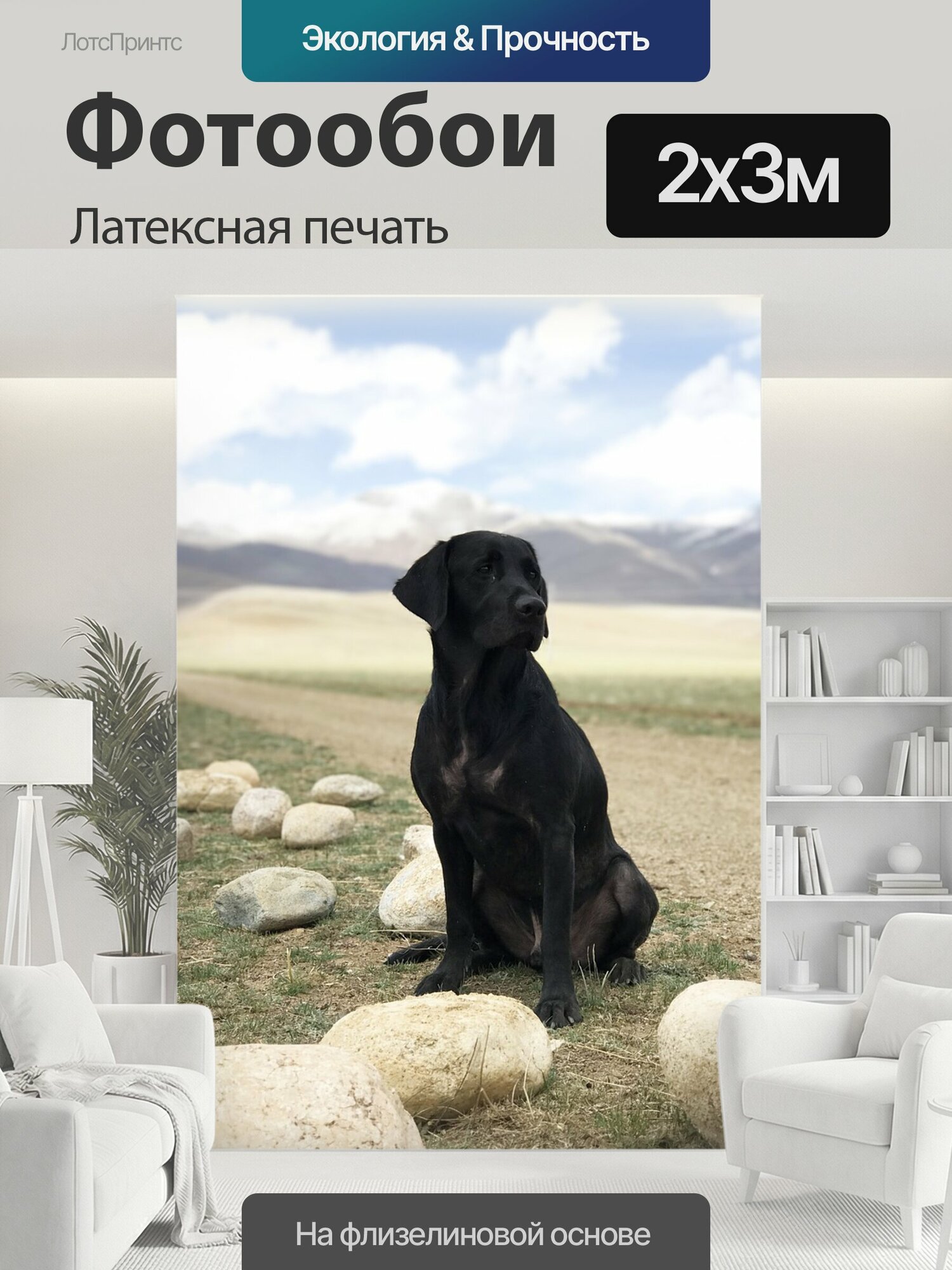 Фотообои моющиеся ударопрочные "Черный пес, лабрадор, пастбища" 200x300 см. латексная печать