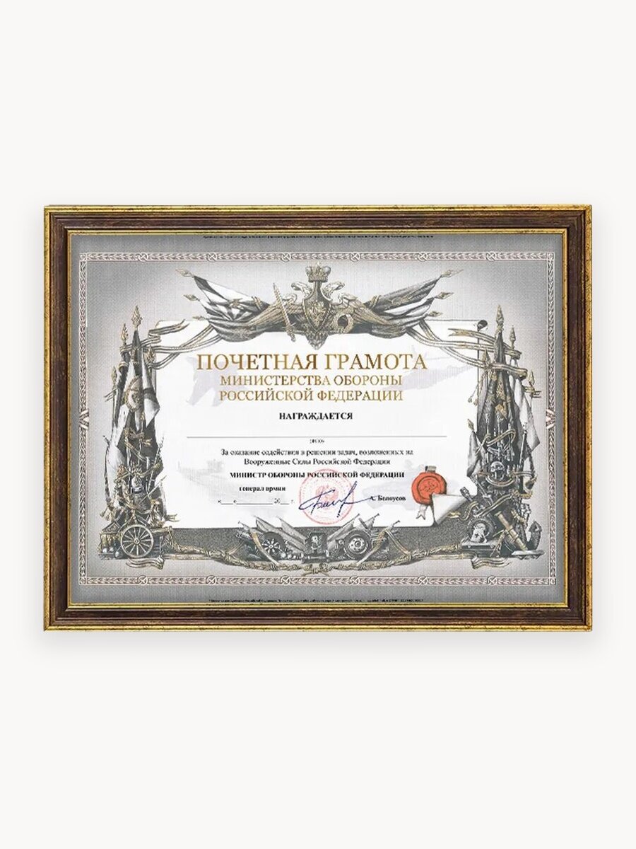 Почетная грамота от Министерства обороны РФ, благодарственное письмо