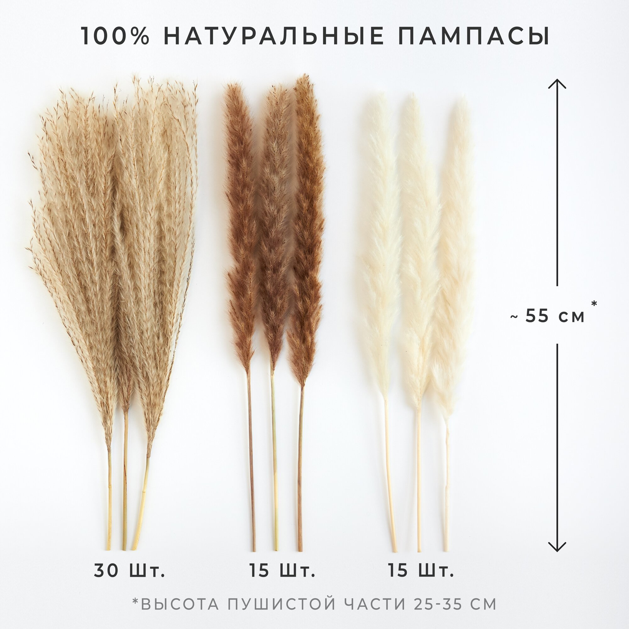 Сухоцветы букет 55см, Пампасная трава и Мискантус, 190 гр, Сухоцветы для декора ARANTA 60шт