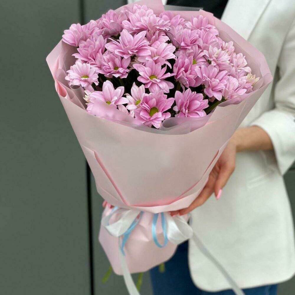 Классический букет из 5 розовой кустовой хризантемы в матовой пленке с атласной лентой