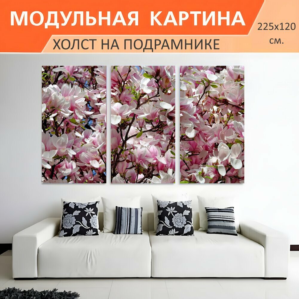 Модульная картина на холсте "Тюльпаны магнолии, дерево, кустарник" триптих на подрамнике 225х120 см. для интерьера