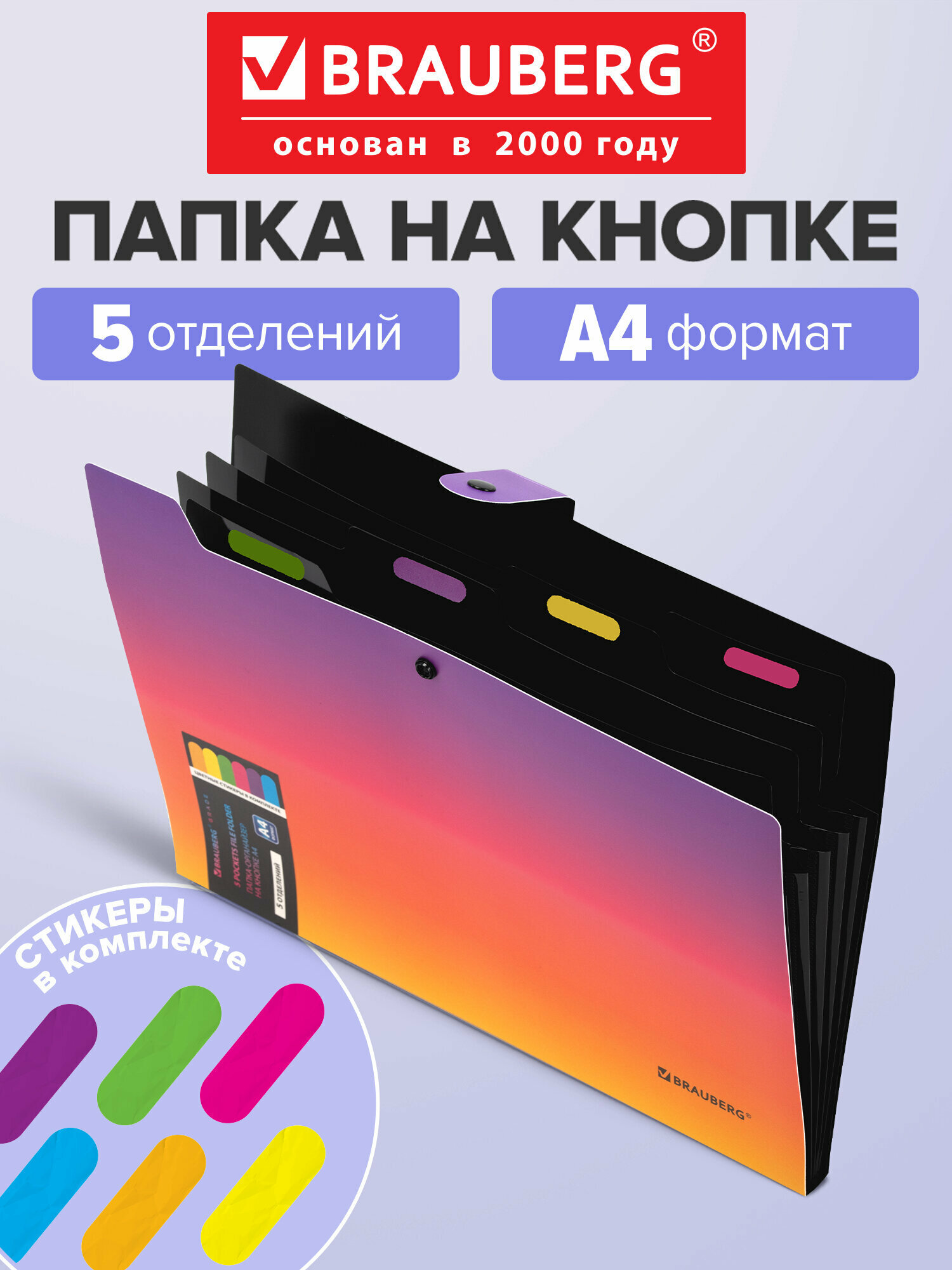 Папка для документов А4 канцелярская на кнопке, органайзер для бумаг 5 отделений, Brauberg Grade, 274093