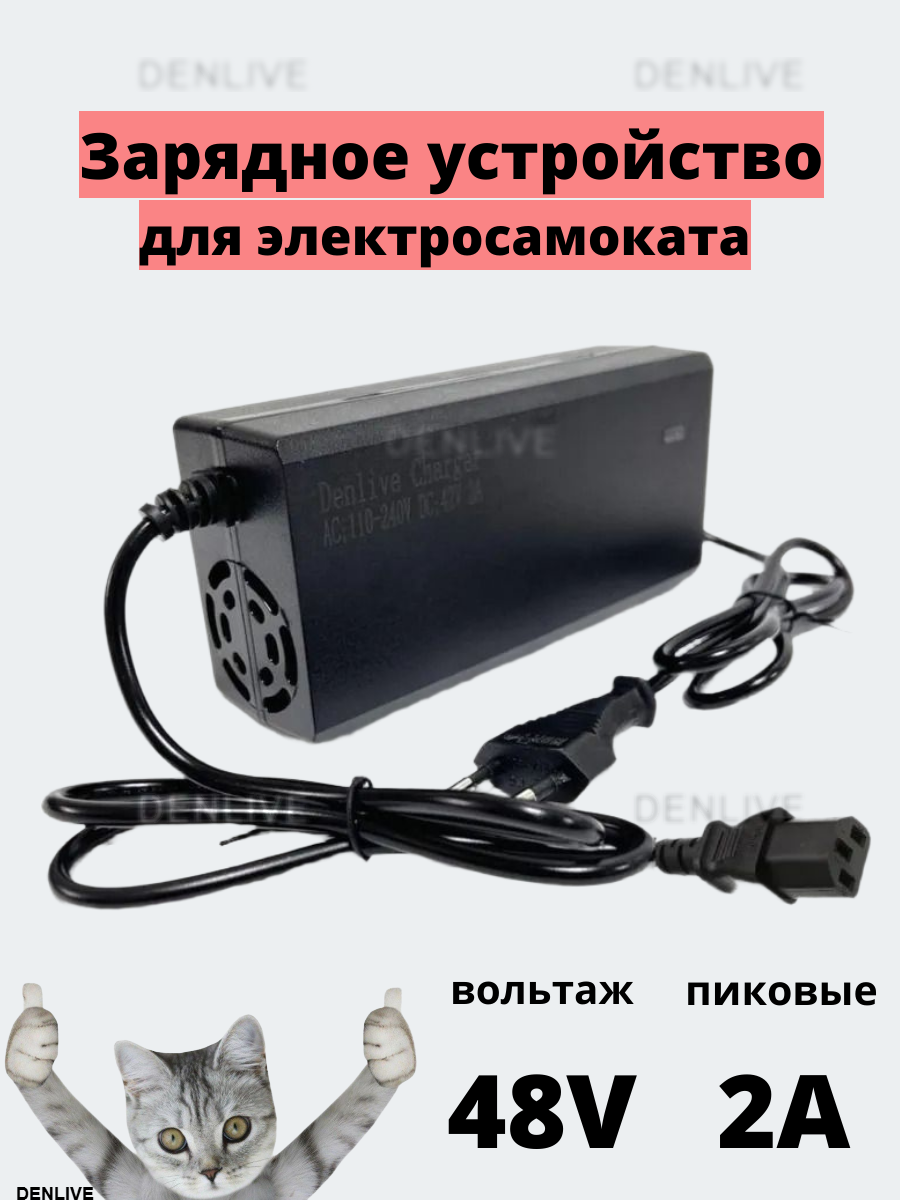 Зарядное устройство (зарядник) 48v 2A для электровелосипеда/электросамоката, разъем C13