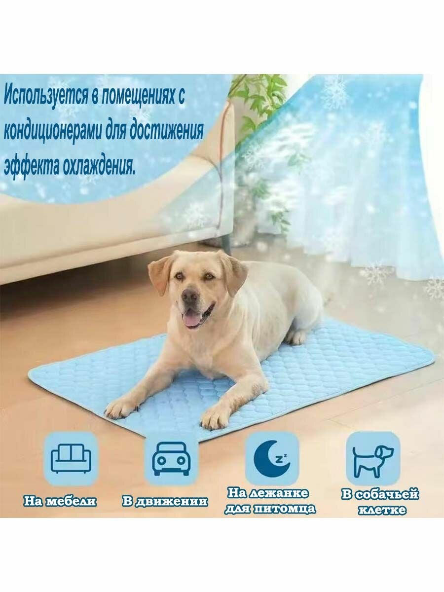 Охлаждающий коврик Ruxia, для собак и кошек, с гелевым наполнителем, голубой, 150x100 см