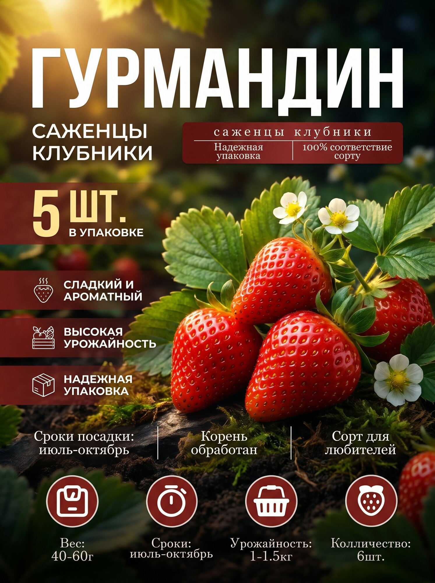 Саженцы клубники Гурмандин ремантантная 5-шт