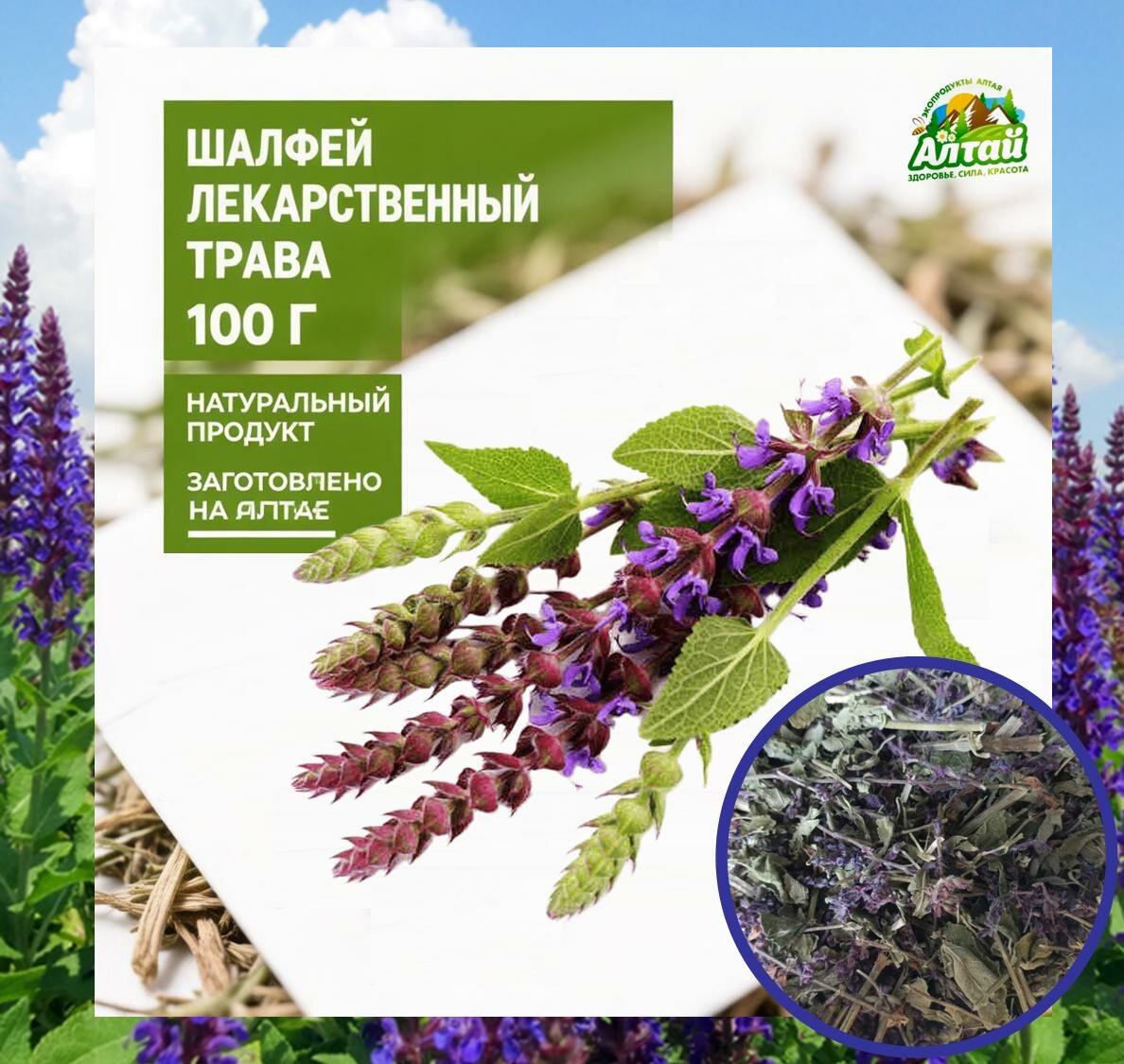 Шалфей дикий, трава с цветом резанная крупно, 100 г, АлтайМир