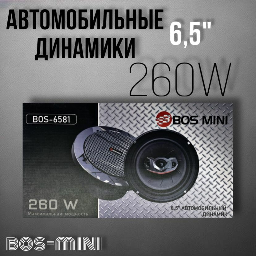 Колонки автомобильные BOSS-MINI BOS-6581 260W