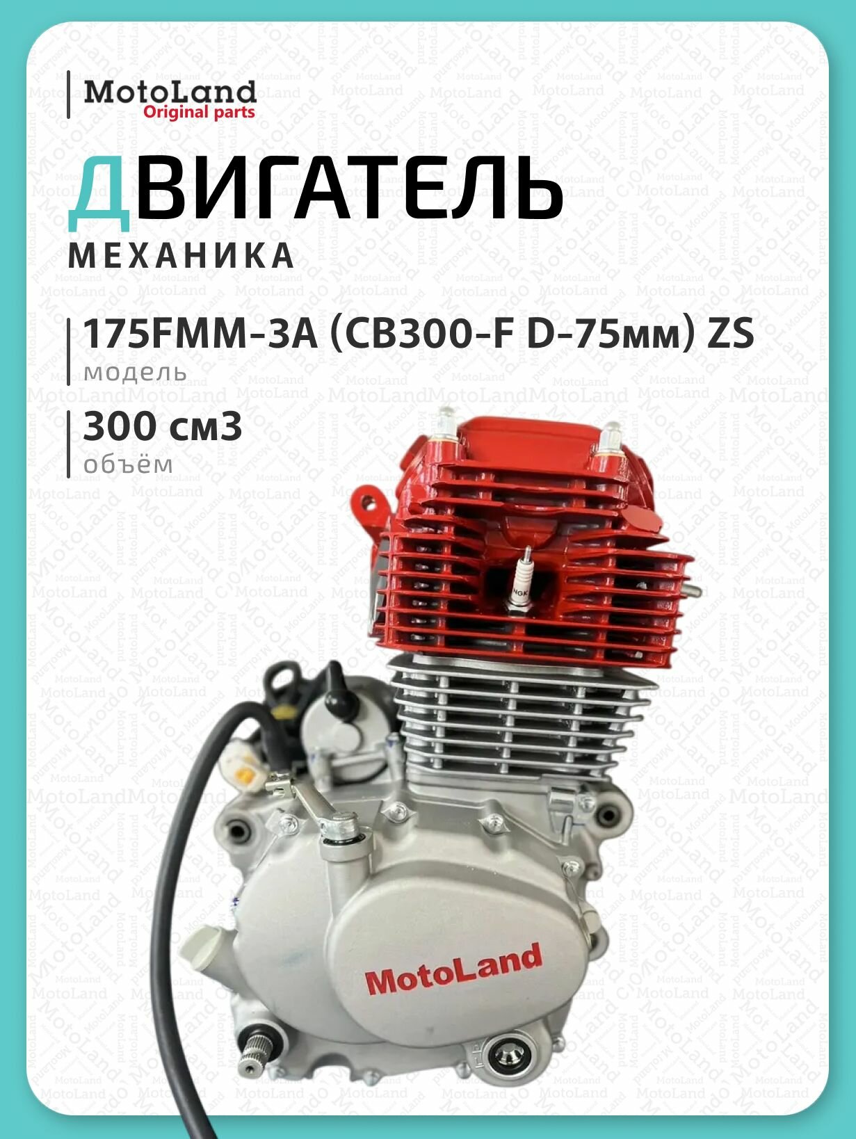 Двигатель 300см3 175FMM-3A (CB300-F D-75мм) ZS грм цепь,5ск для эндуро, кроссового мотоцикла
