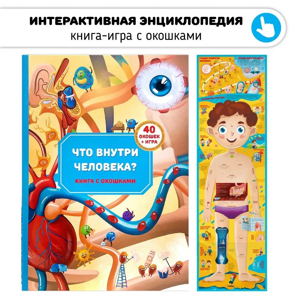 Что внутри человека? Анатомия