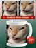 Кружка Кошечка, Котик