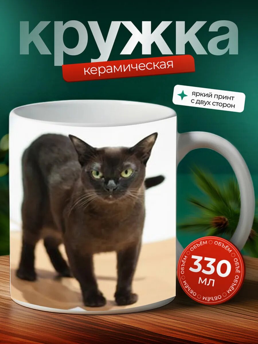 Кружка Бурманская кошка 53,