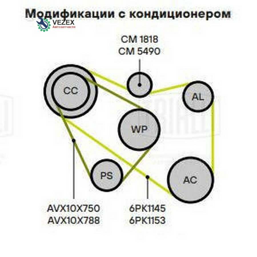 TRIALLI CM 5490 Натяжитель ремня (без ролика) для а/м VW Golf III (91-) 1.6i/1.8i/2.0i (CM 5490)