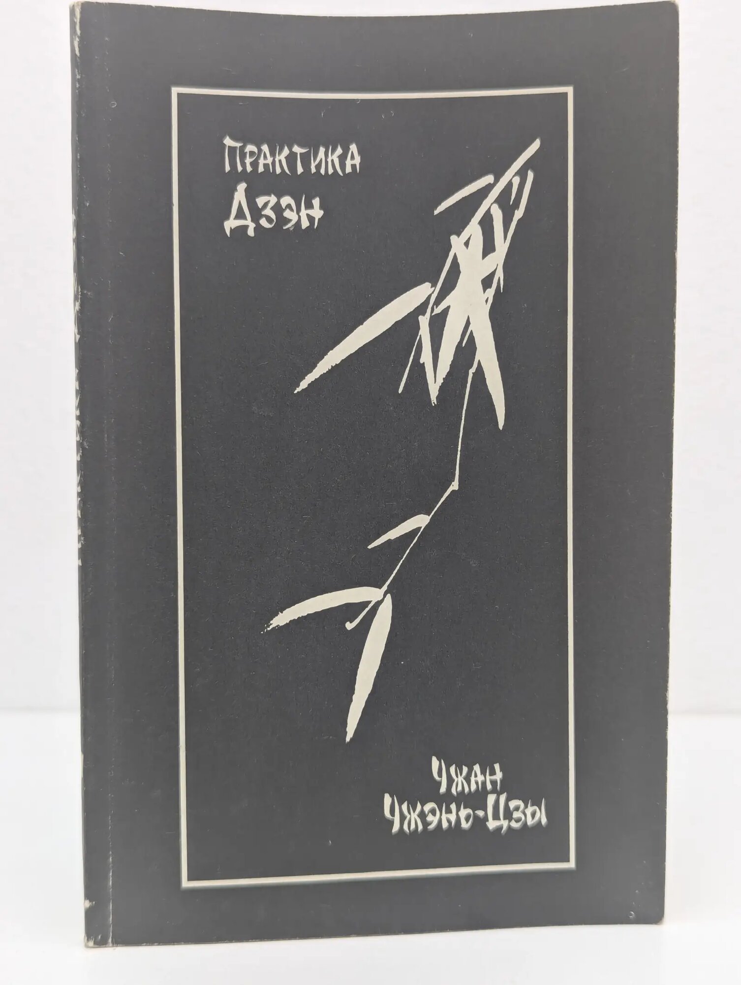 Практика Дзен Чжан Чжэнь-Цзы 1993