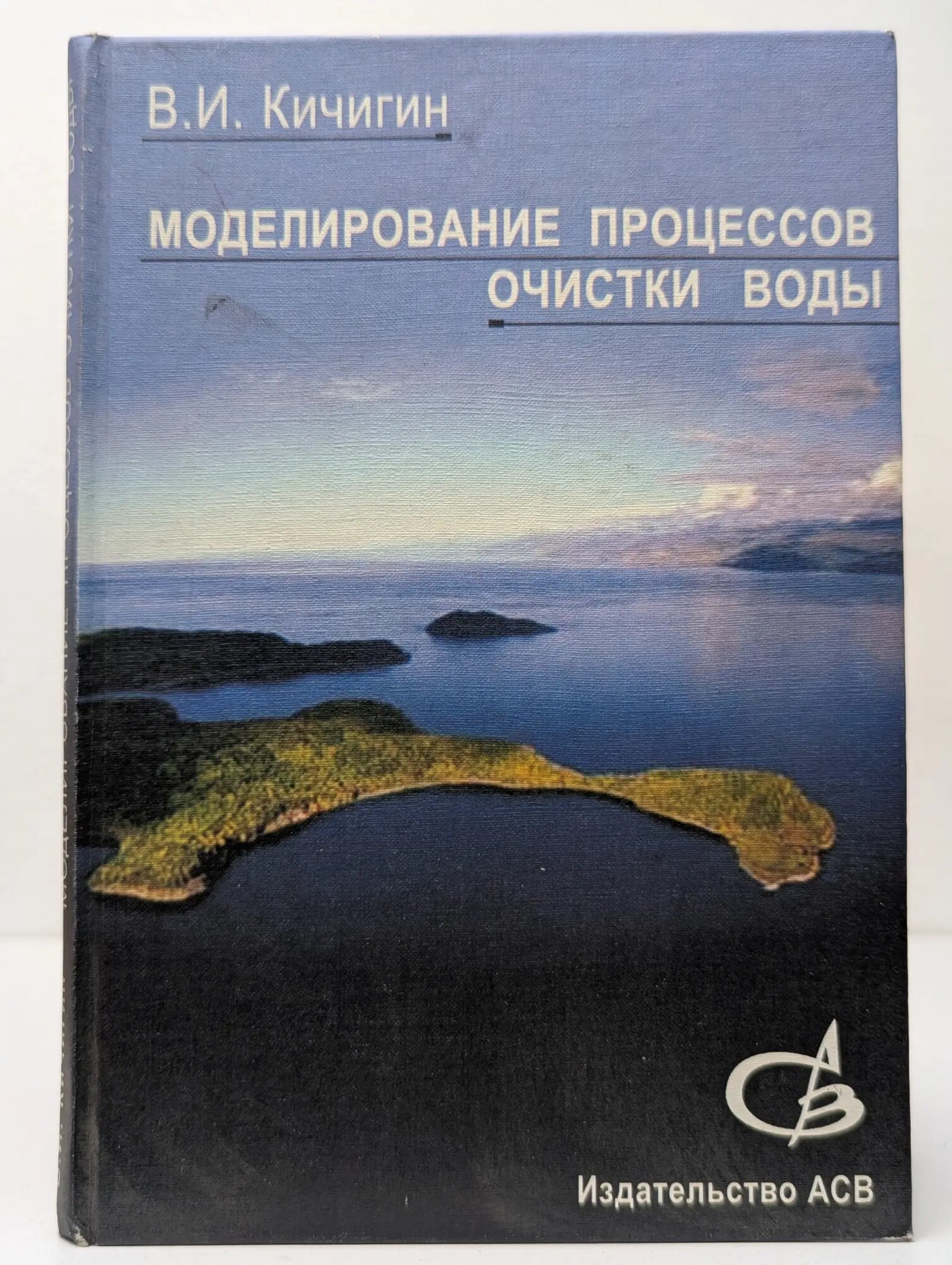 Моделирование процессов очистки воды Кичигин Виктор Иванович 2003