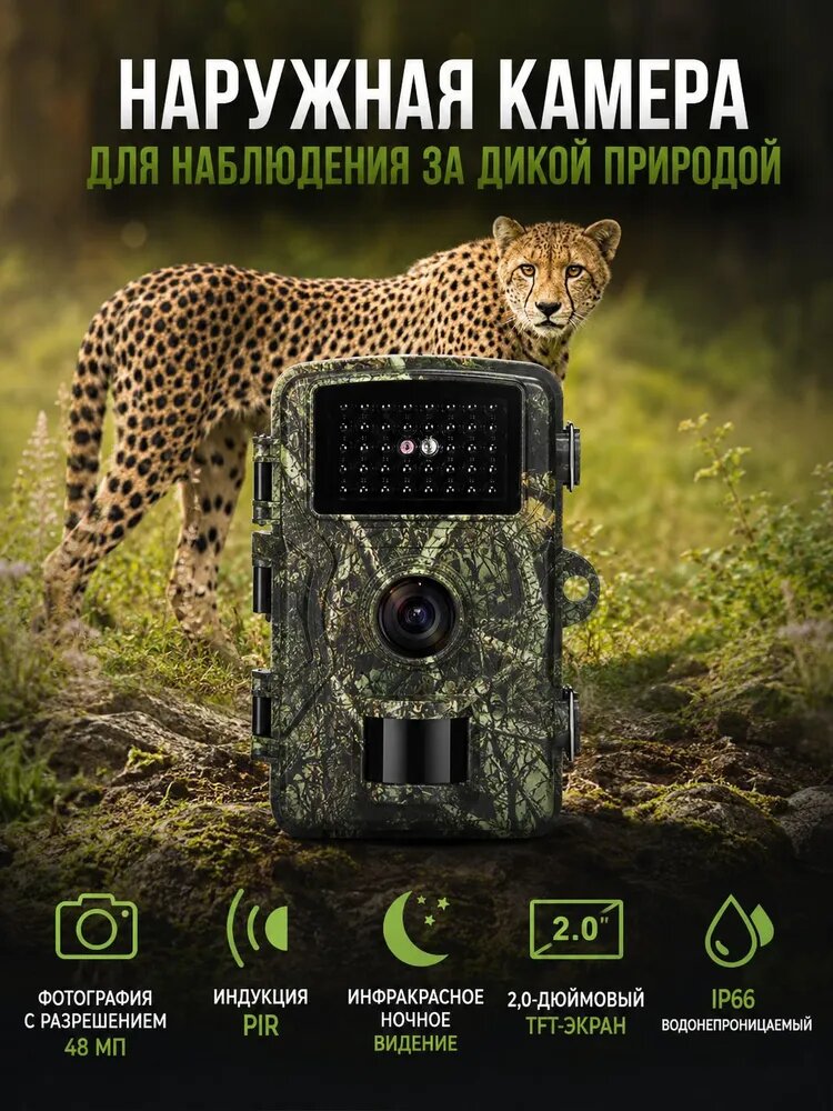 Фотоловушка — фото 1