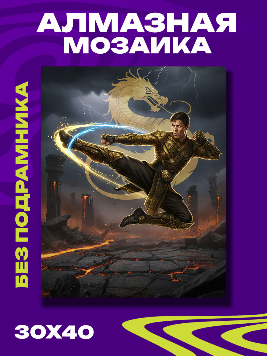 Алмазная мозаика Мортал Комбат Янг