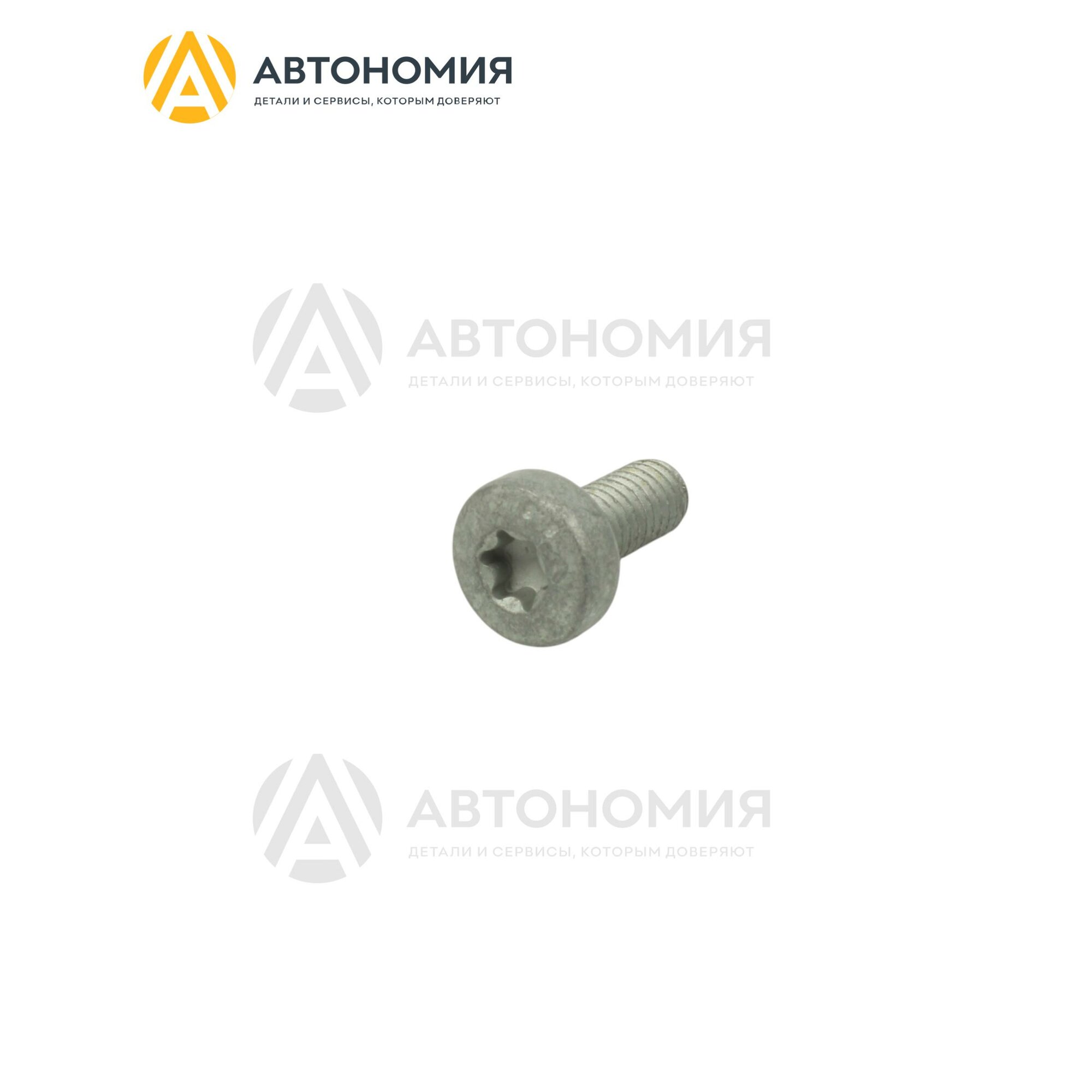 Винт M6x14 VAG N10 405 604