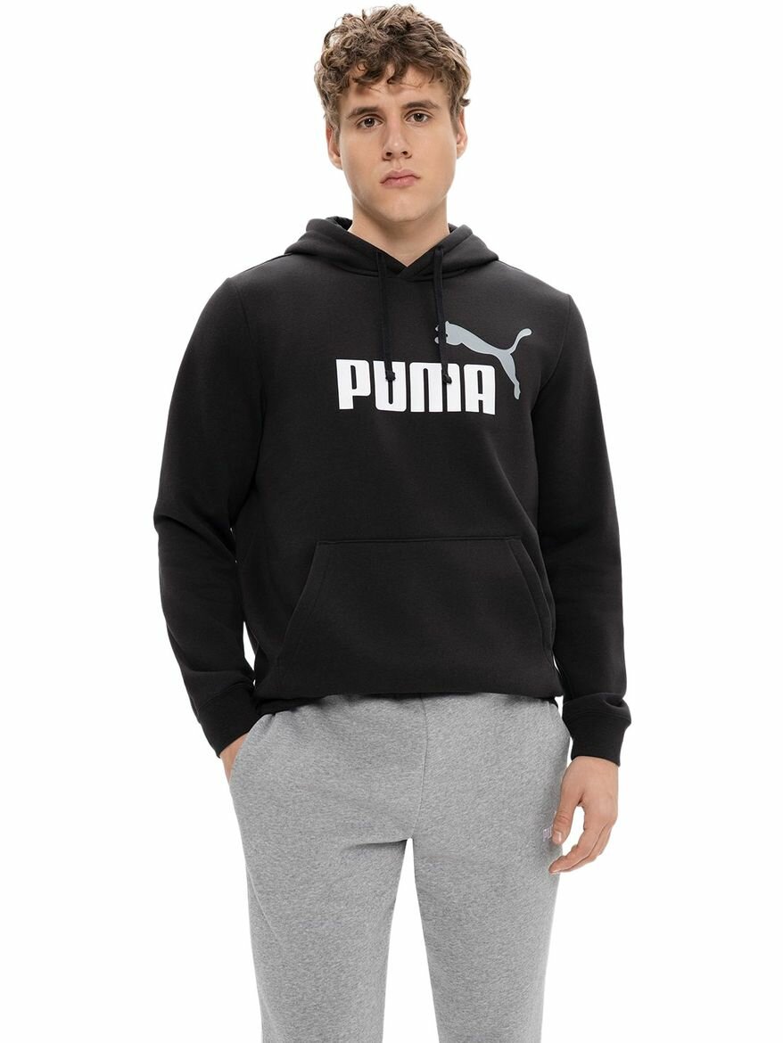 Худи спортивное ESS 2 COLOR No. 1 Logo Hoodie FL